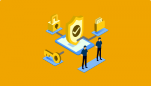 Checkpoint CCSE Certification Training Online | Infosectrain