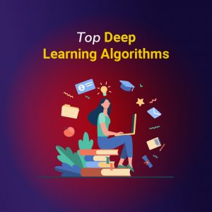 Top Deep Learning Algorithms